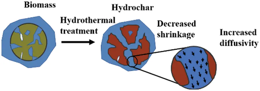 Hydrochar Pelletization towards Solid Biofuel from Biowaste ...