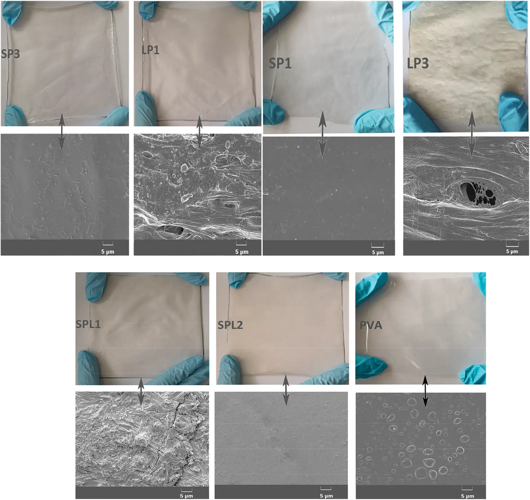 JRM | Free Full-Text | Preparation of Film Based on Polyvinyl Alcohol ...