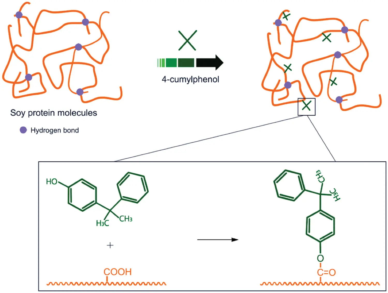Research Progress of Soybean Protein Adhesive: A Review