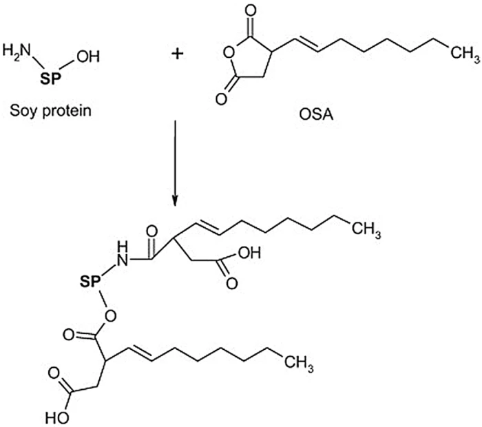 Soybean Protein Structure