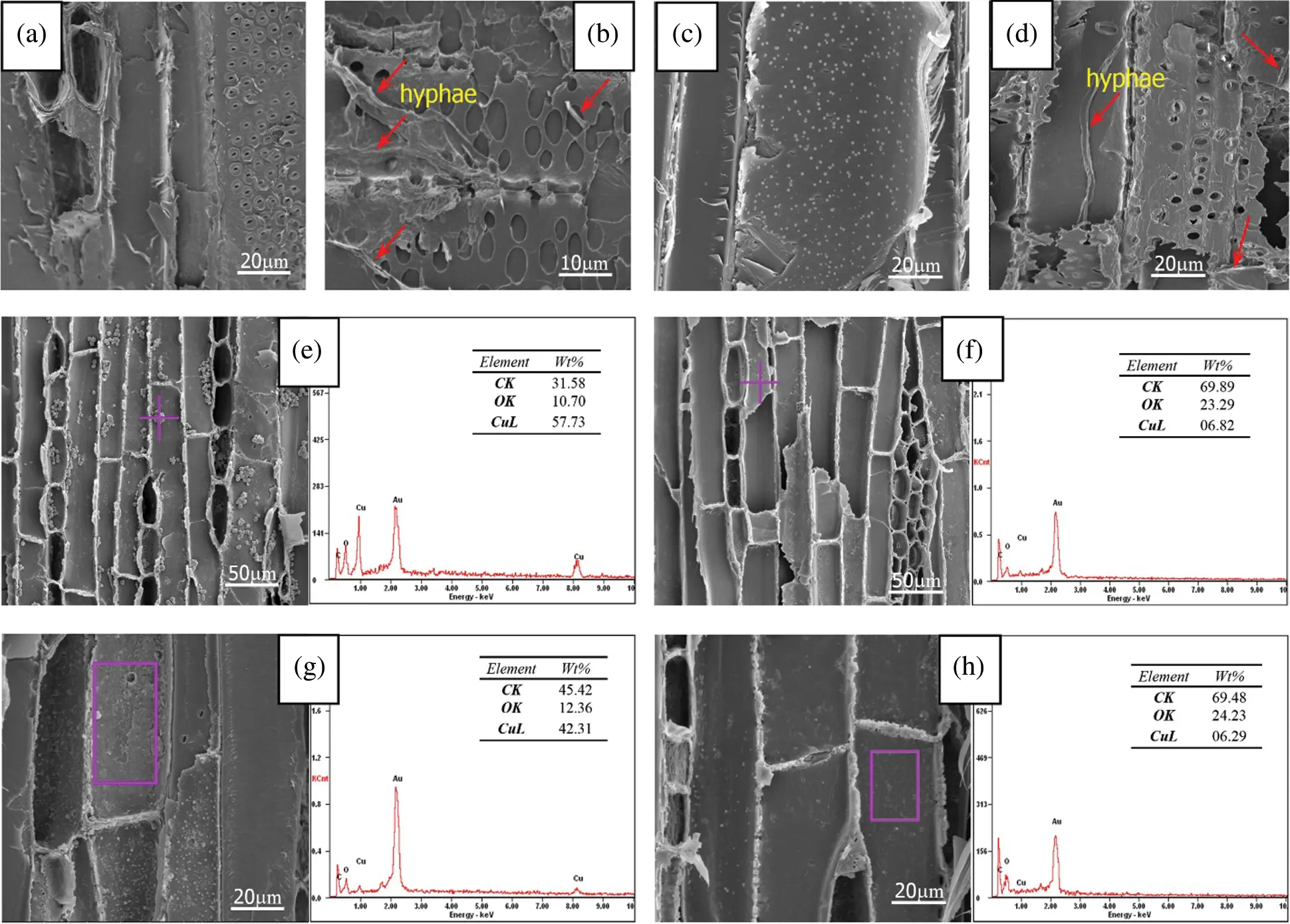 Evaluation of Weathering Performance of Rosin-Copper Based Treated Wood