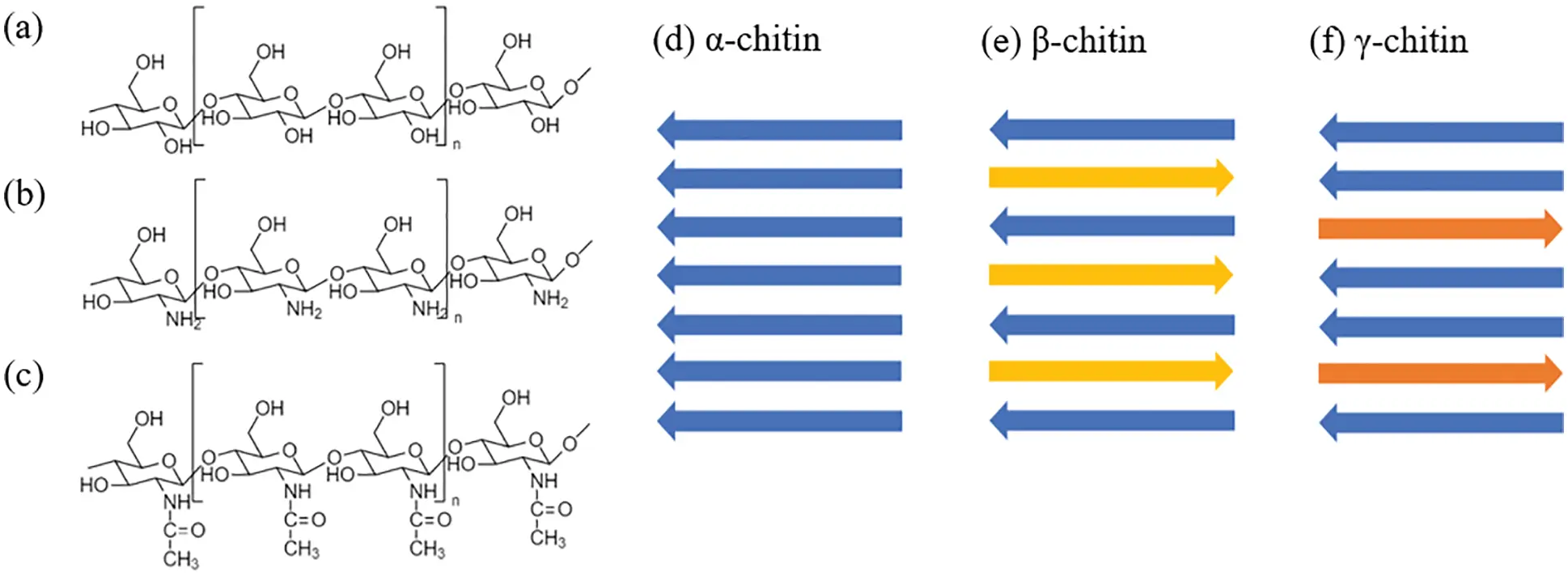 Potential Economic Value of Chitin and Its Derivatives as Major ...