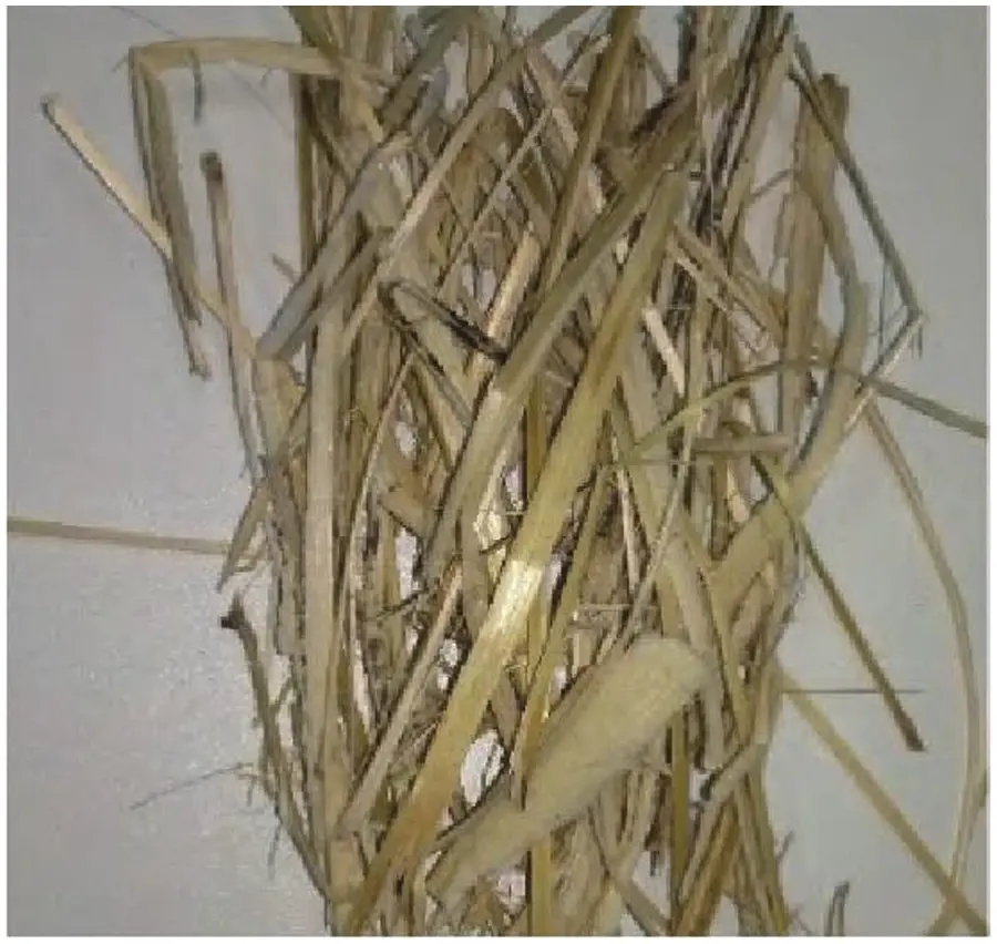 JRM | Free Full-Text | Research and Application Progress of Straw