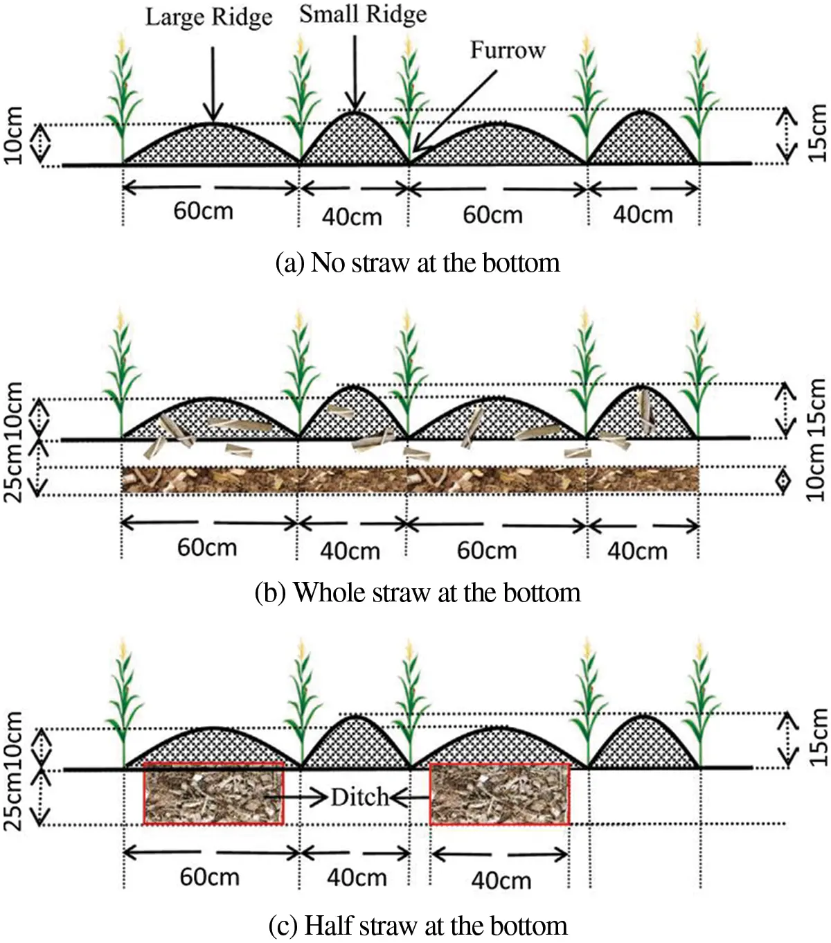 JRM | Free Full-Text | Research and Application Progress of Straw