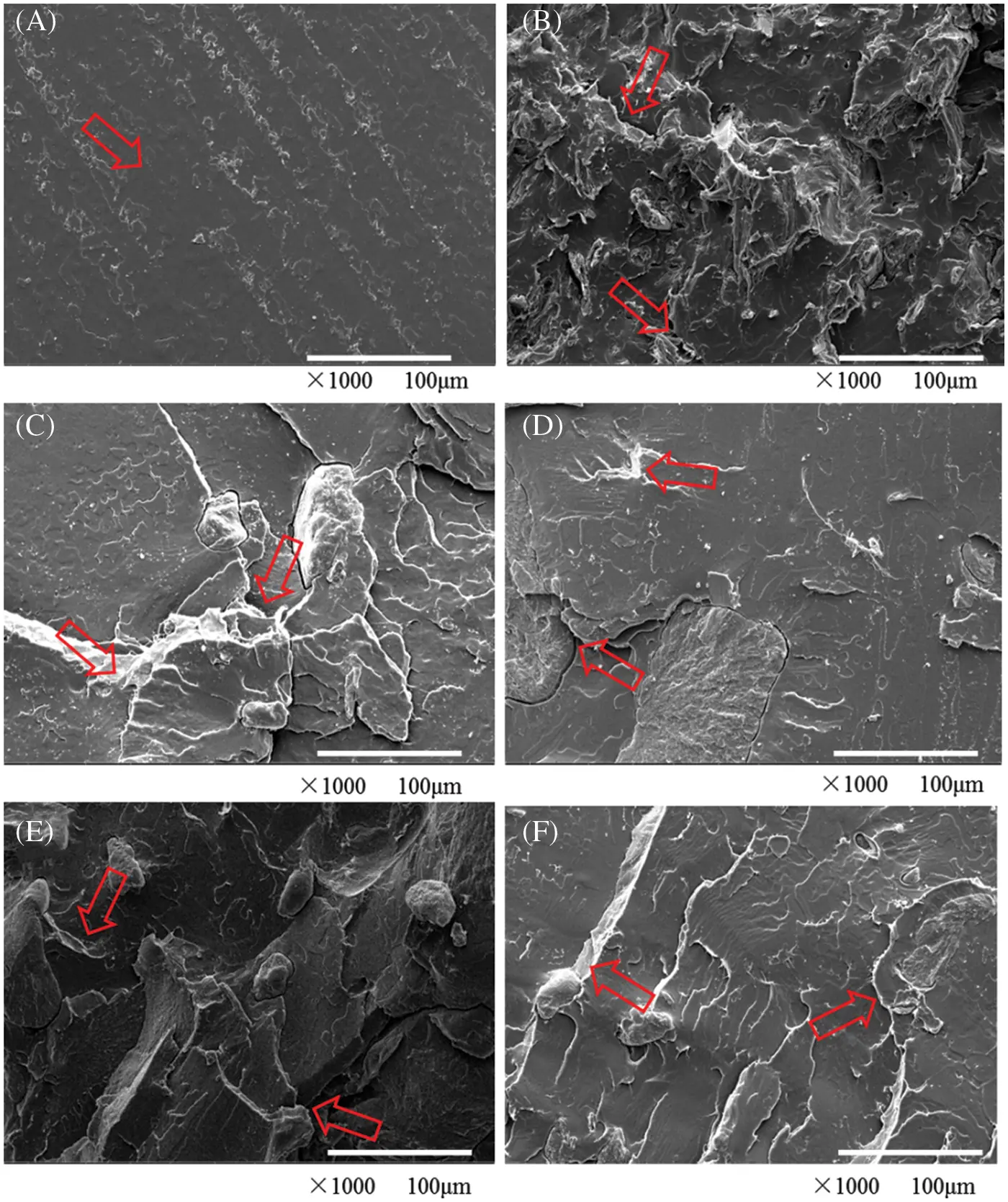 JRM | Free Full-Text | Fully Bio-Based Composites of Poly (Lactic Acid ...