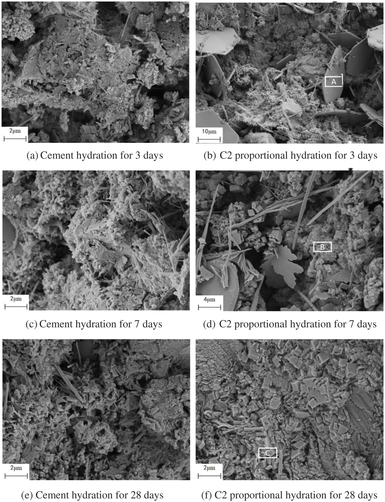 JRM | Free Full-Text | Properties and Hydration Mechanism of ...