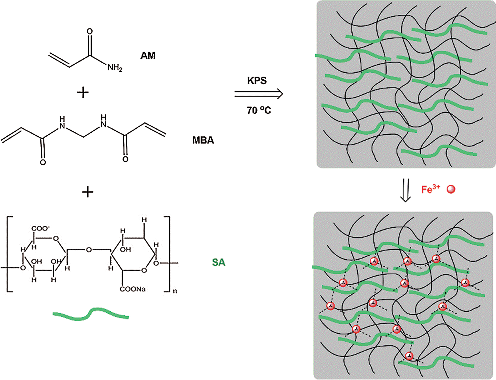 Preparation and Properties of Polyacrylamide/Sodium Alginate Hydrogel ...