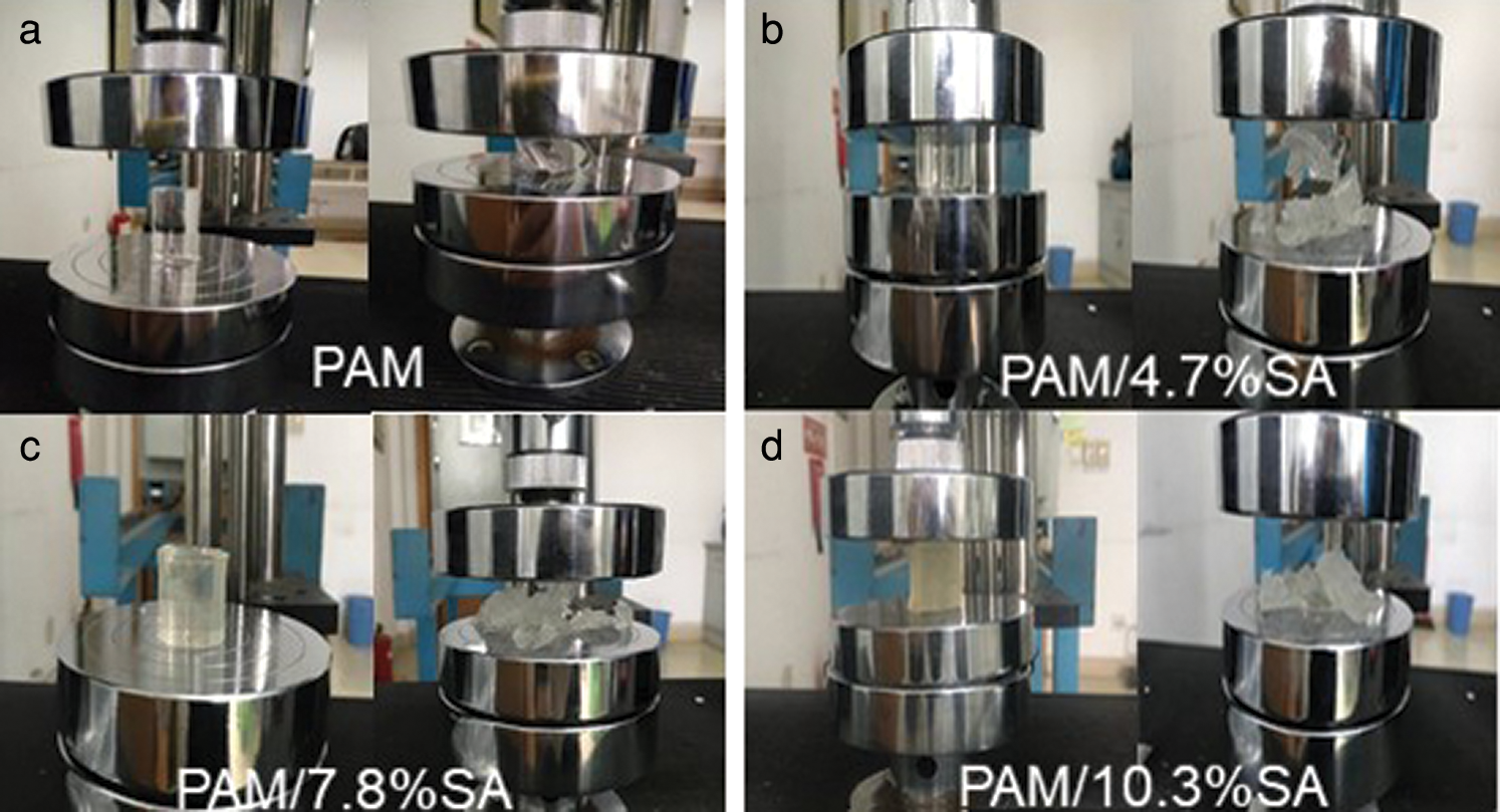 Preparation and Properties of Polyacrylamide/Sodium Alginate Hydrogel ...