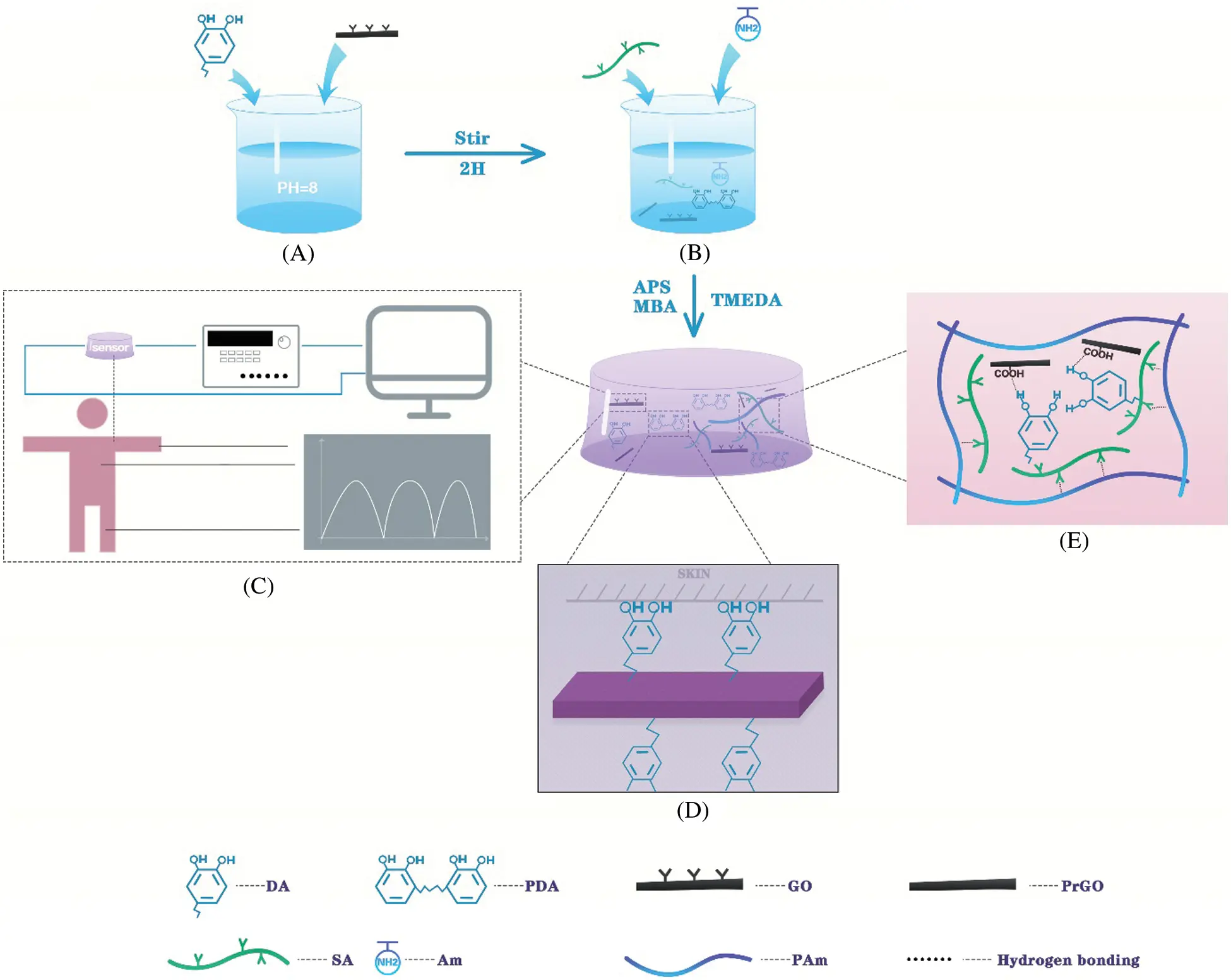 Strong and Tough PAm/SA Hydrogel with Highly Strain Sensitivity