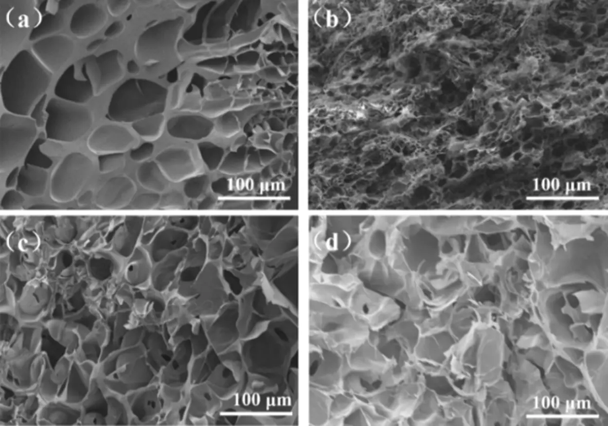 Strong and Tough PAm/SA Hydrogel with Highly Strain Sensitivity
