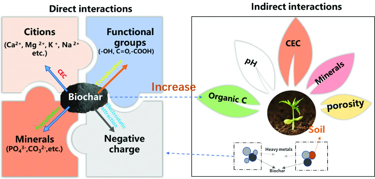 Recent Advance on Torrefaction Valorization and Application of Biochar ...