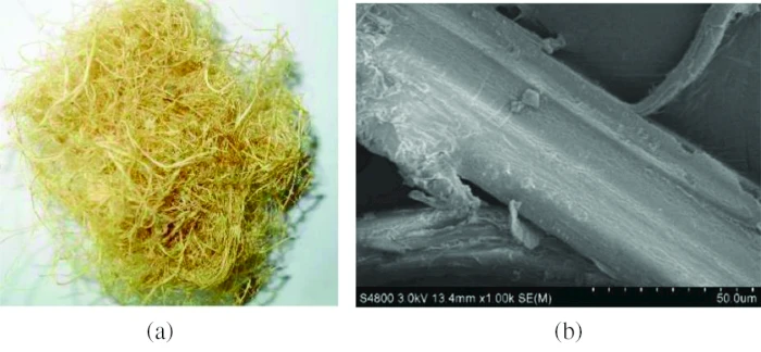 Bamboo Fiber Microscope