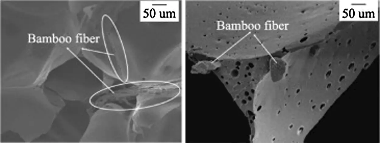 Properties and Applications of Bamboo Fiber—A Current-State-of-the Art
