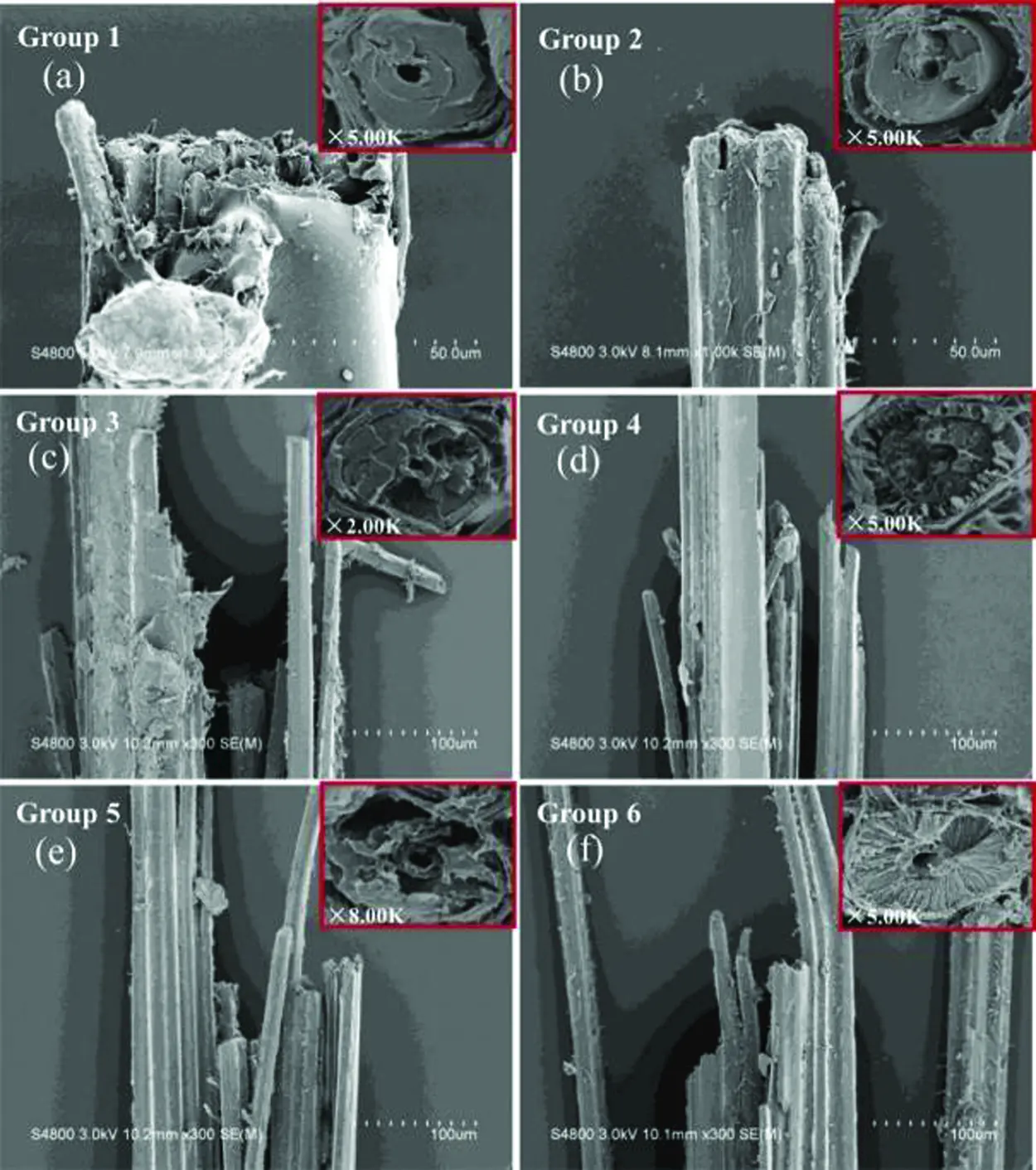 Properties and Applications of Bamboo Fiber—A Current-State-of-the Art
