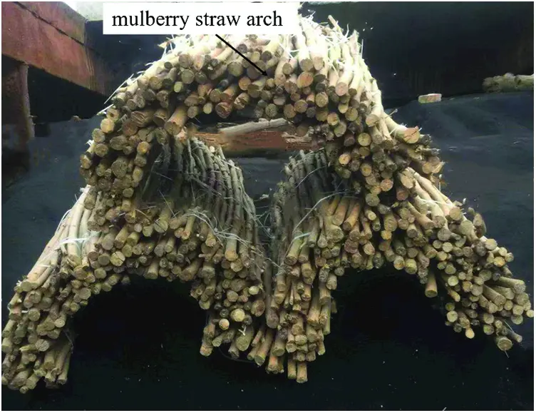 Field Application of Mulberry Straw Arch in Ecological Bank Revetment