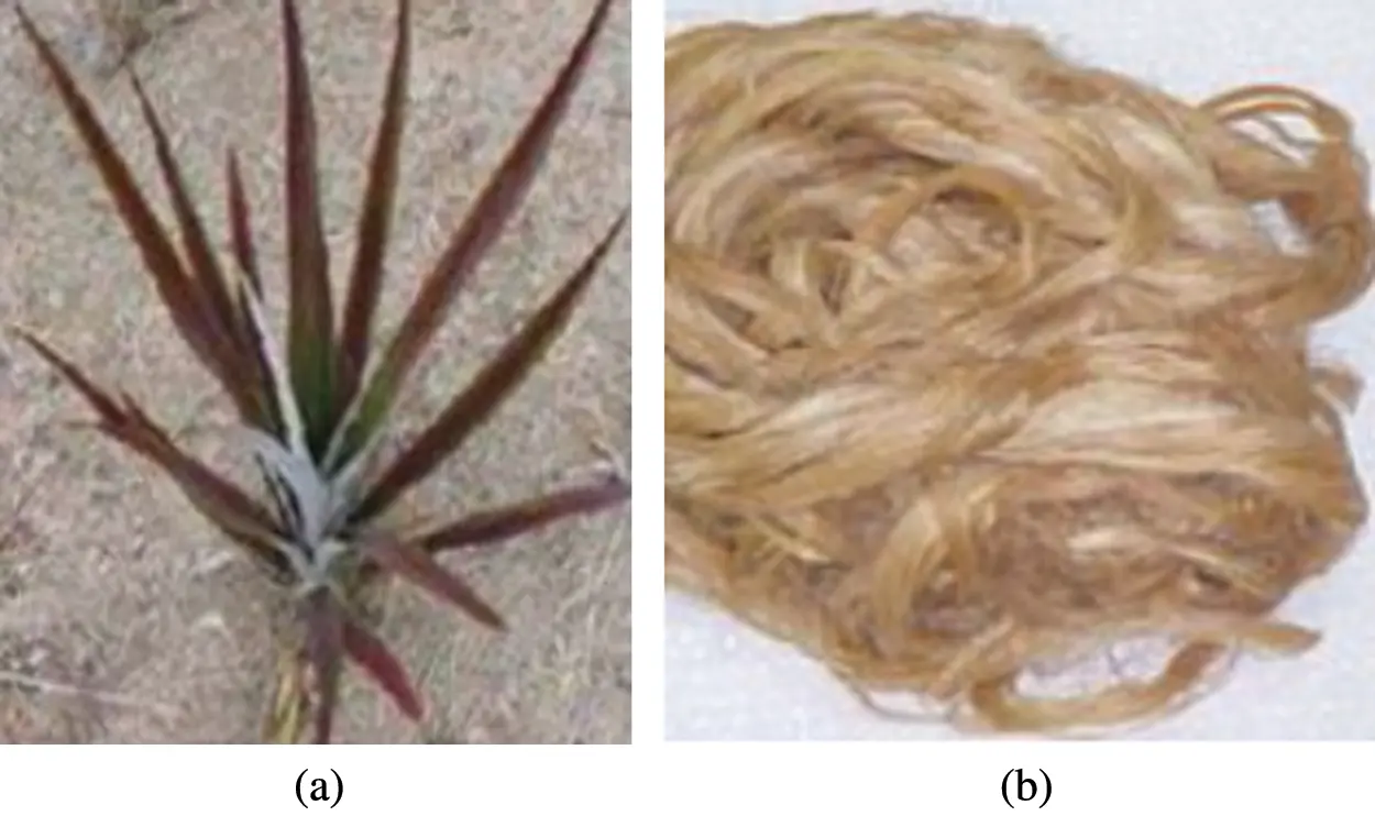 Environmental and Durability Perspective of the Use of Curaua Fiber ...