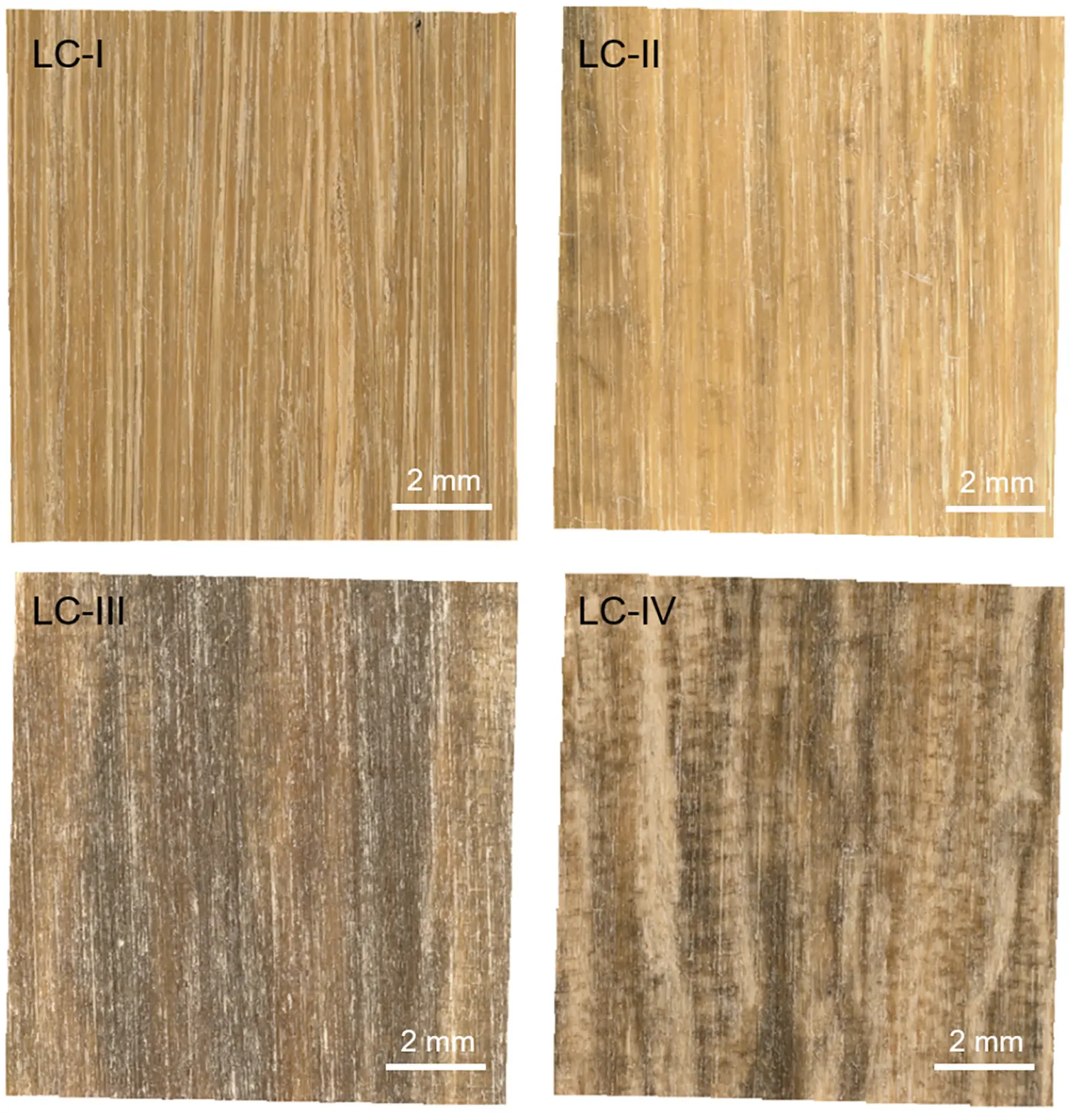 Engineered Wood/Bamboo Laminated Composites for Outdoor Hydrophilic ...