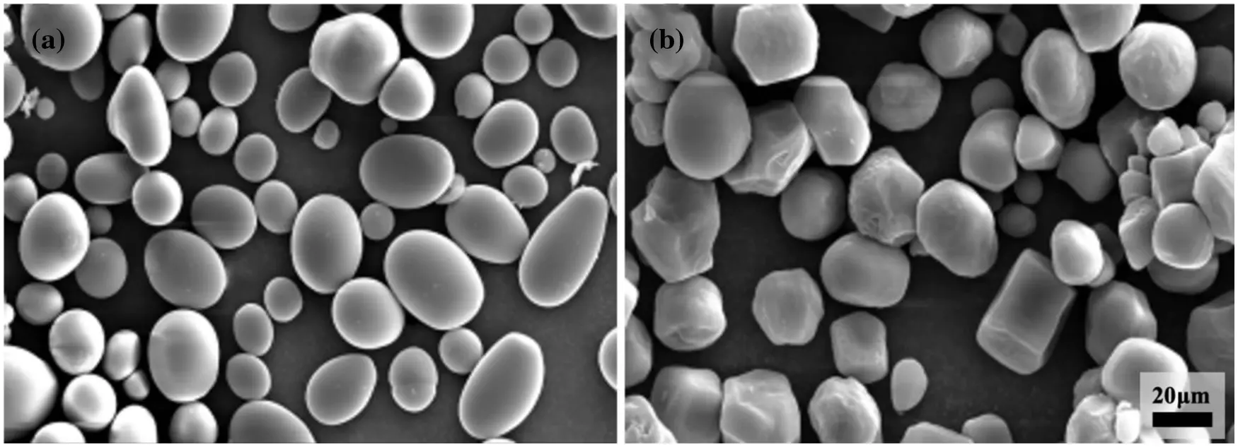 Study on the Properties of Esterified Corn Starch/Polylactide ...