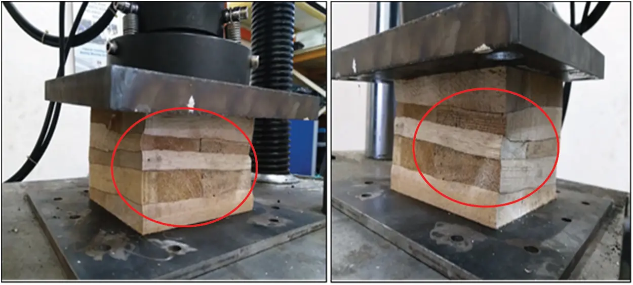 Bending, Compression and Bonding Performance of Cross-Laminated Timber ...