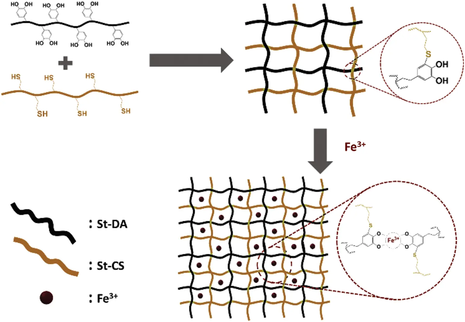 The Preparation and Properties of Starch Based Shape Memory Hydrogel