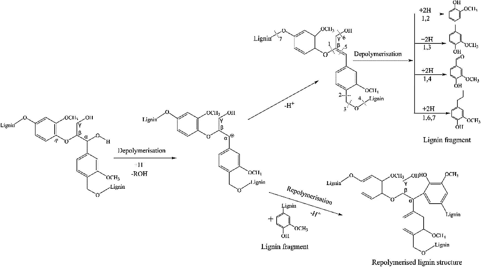 A Bifunctional Brønsted Acidic Deep Eutectic Solvent to Dissolve and ...