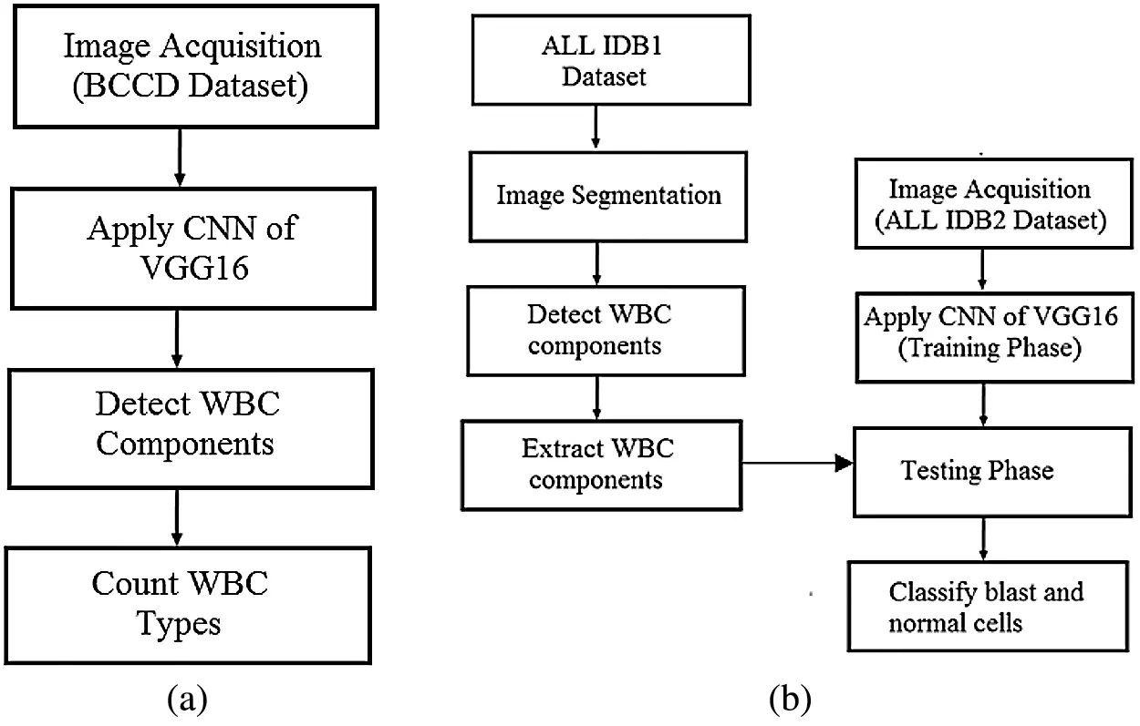 Classification of Leukemia and Leukemoid Using VGG-16 Convolutional ...