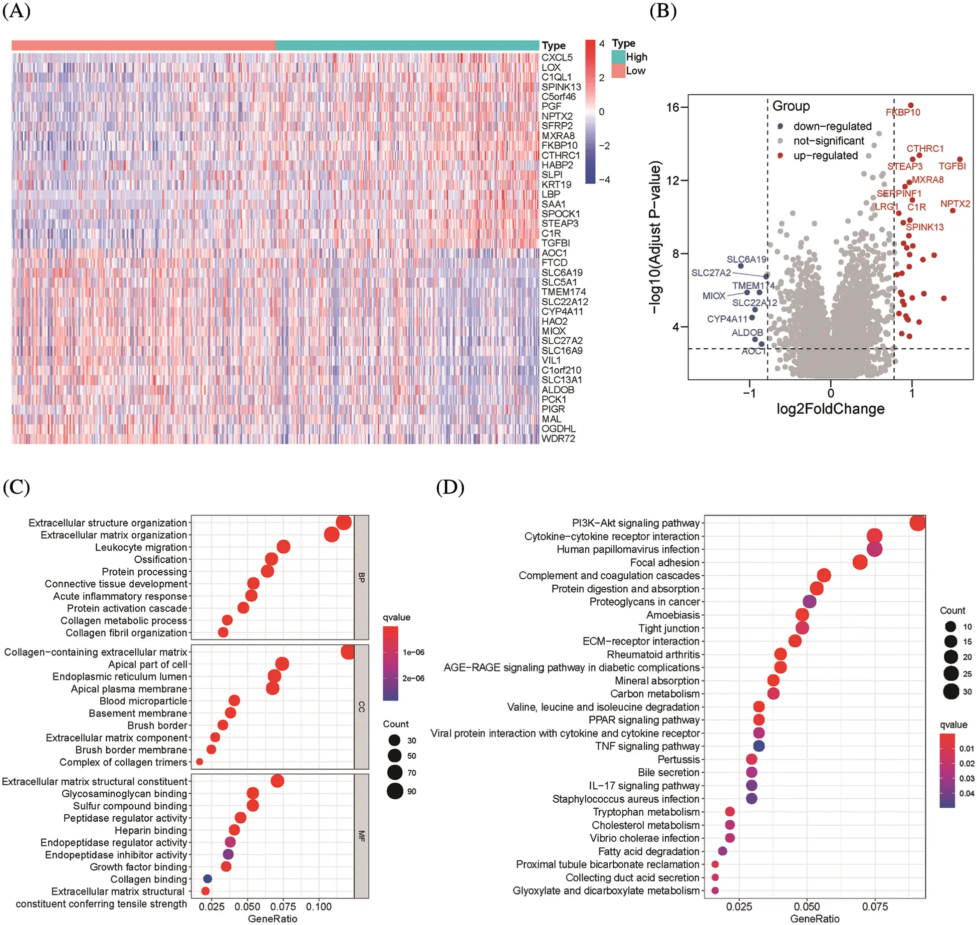 The Transcriptional and Immunological Roles of Six2 in Clear Cell Renal ...