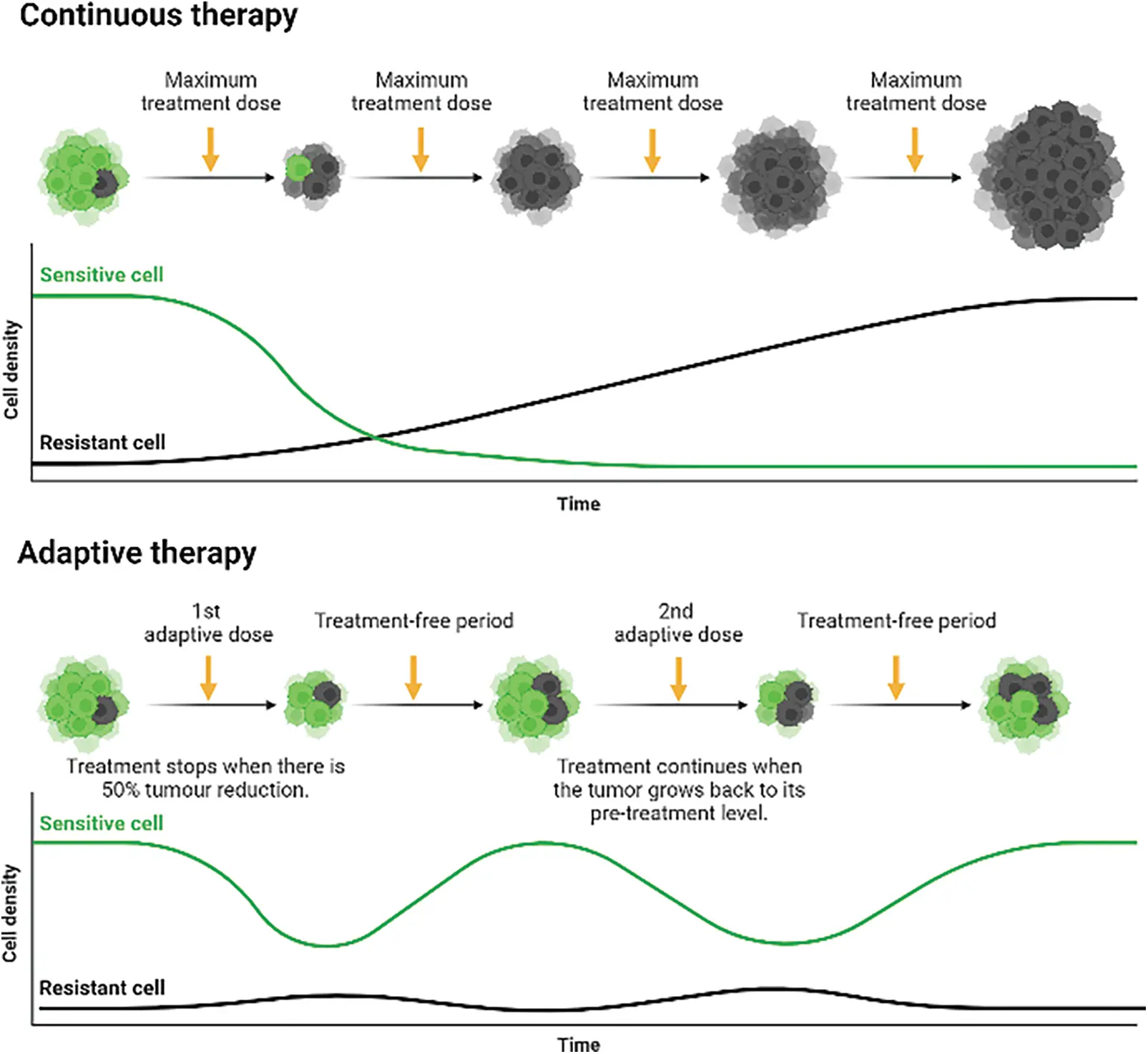 Delaying Emergence of Resistance to KRAS Inhibitors with Adaptive ...
