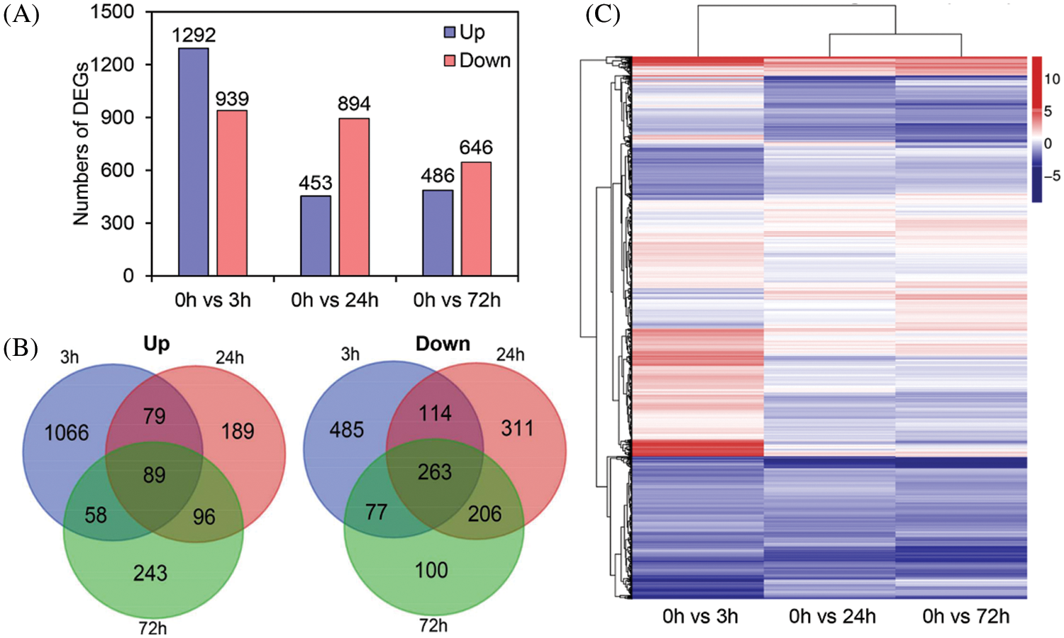 Phyton Free Full Text Comparative Transcriptome Analysis Of Salt