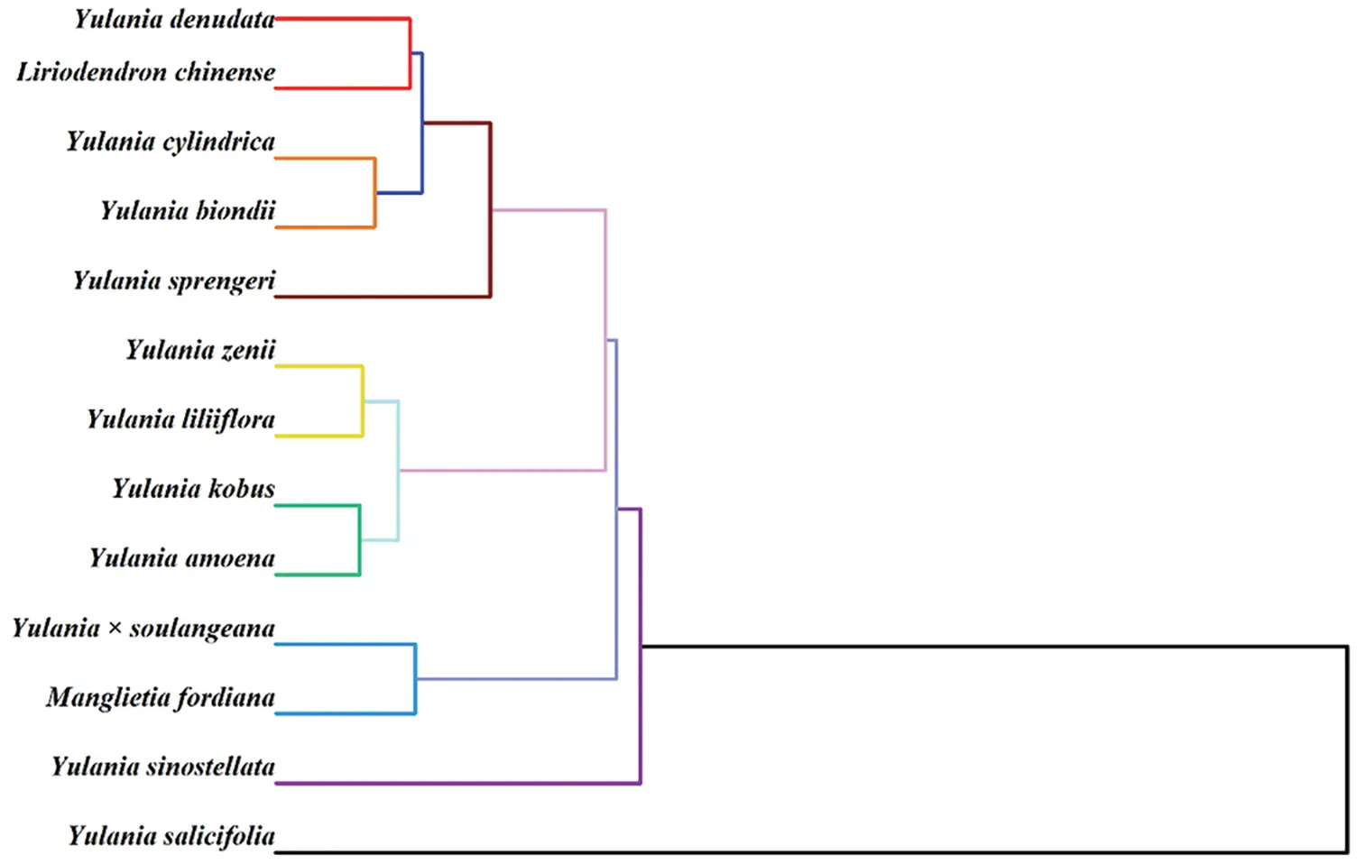 Electrochemical Identification of Yulania spp. by Fingerprinting of ...