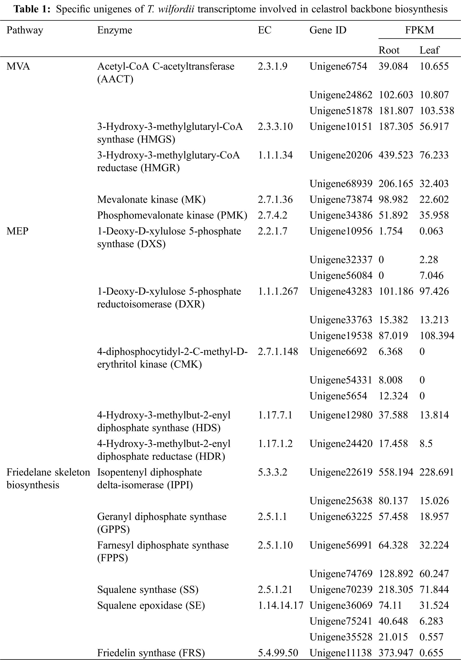 Identification of Genes Involved in Celastrol Biosynthesis by ...