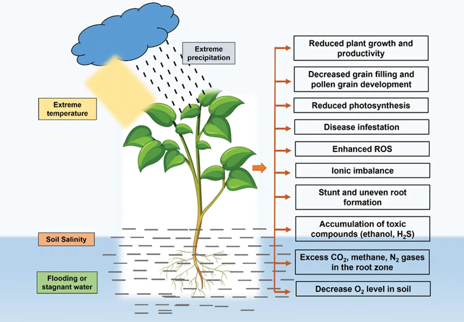 Climate Change and Its Adverse Impacts on Plant Growth in South Asia ...