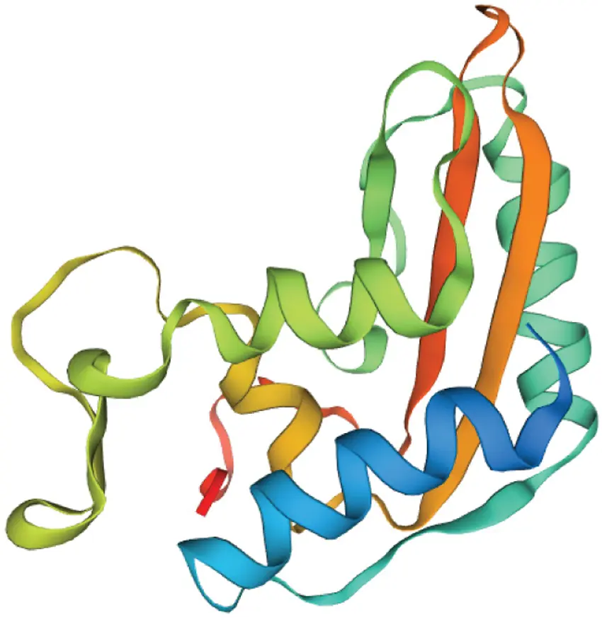 Bioinformatics Analysis of Disease Resistance Gene PR1 and Its Genetic ...