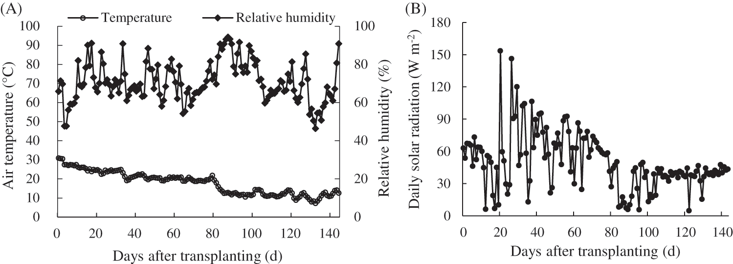 Response of Tomato Sugar and Acid Metabolism and Fruit Quality under ...