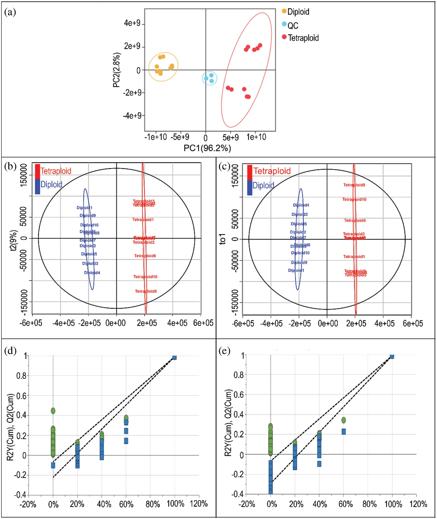 Analysis of Seed Phenotypic and Metabolic Characteristics of Diploid and Tetraploid Tartary ...