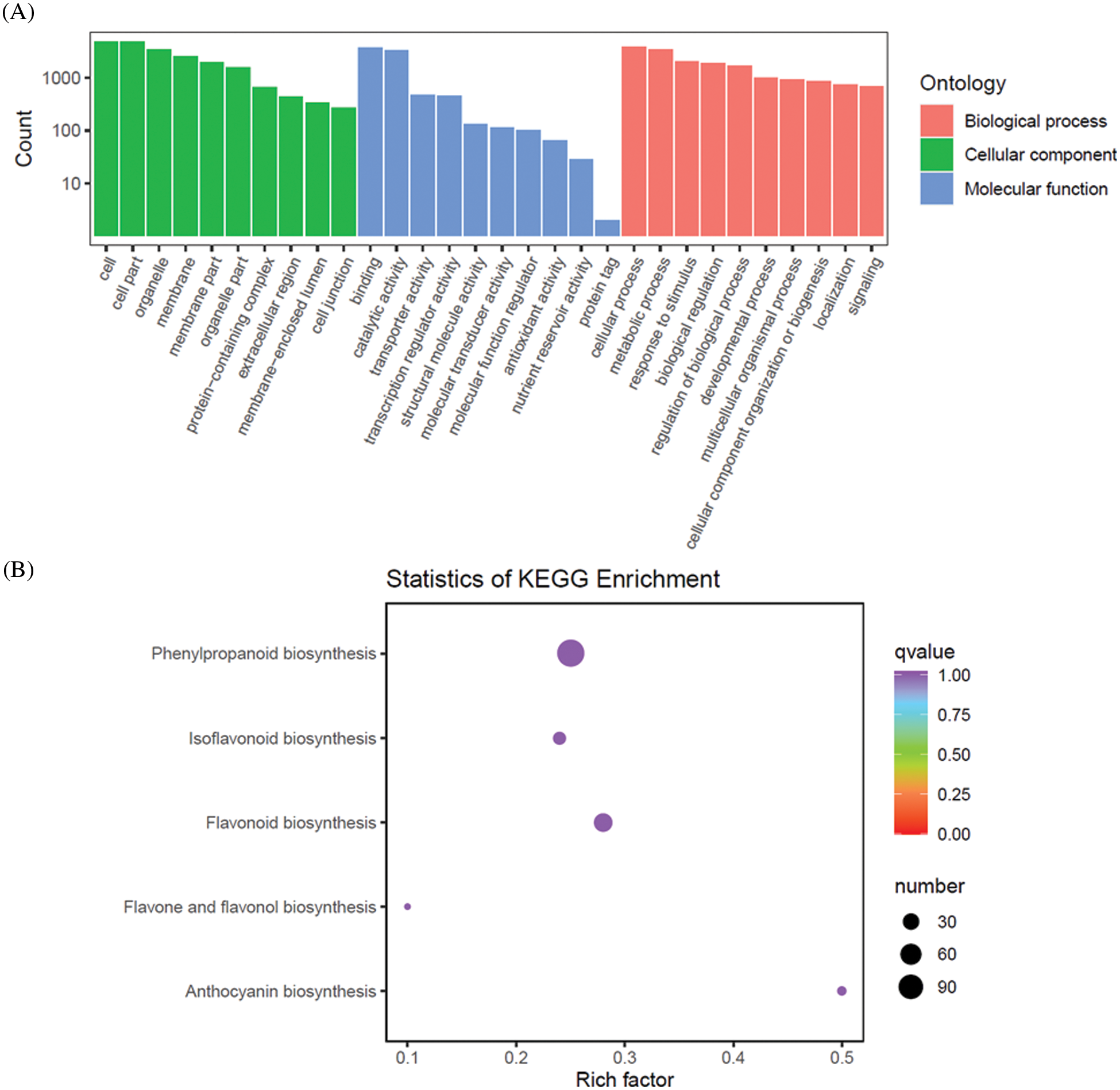 Phyton Free Full Text Integrated Data Reveal The Flavonoid