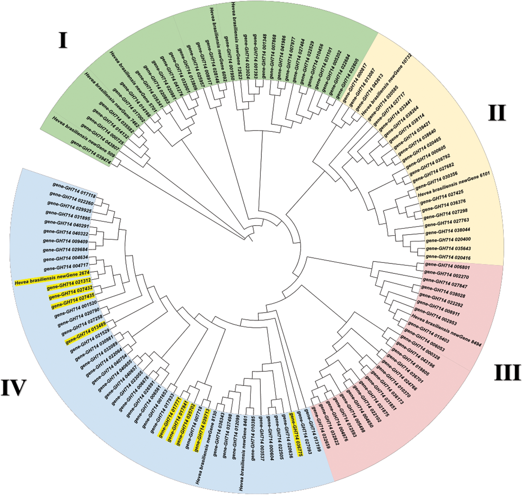 Phyton Free Full Text De Novo Transcriptome Analysis In Hevea