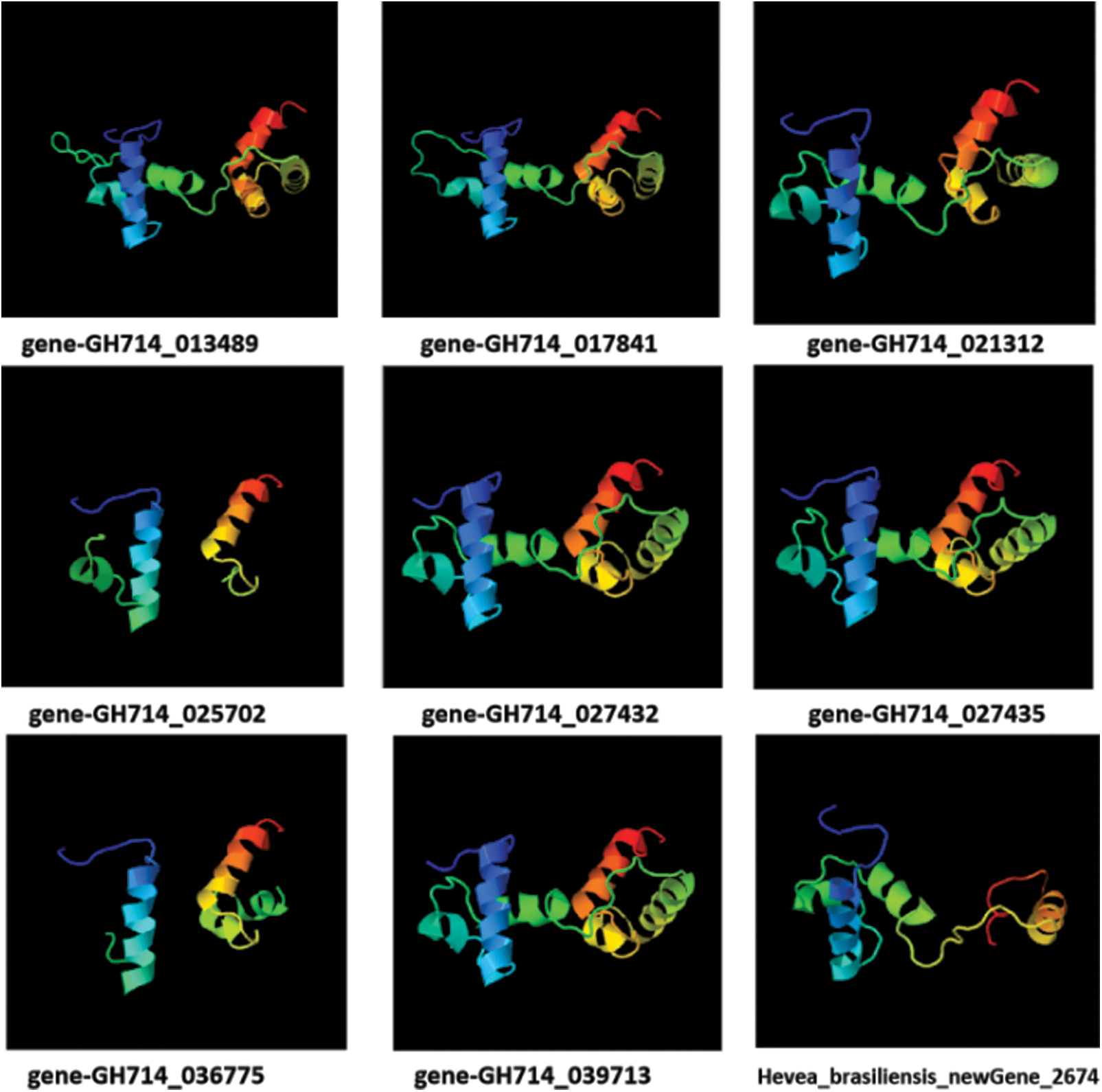 Phyton Free Full Text De Novo Transcriptome Analysis In Hevea