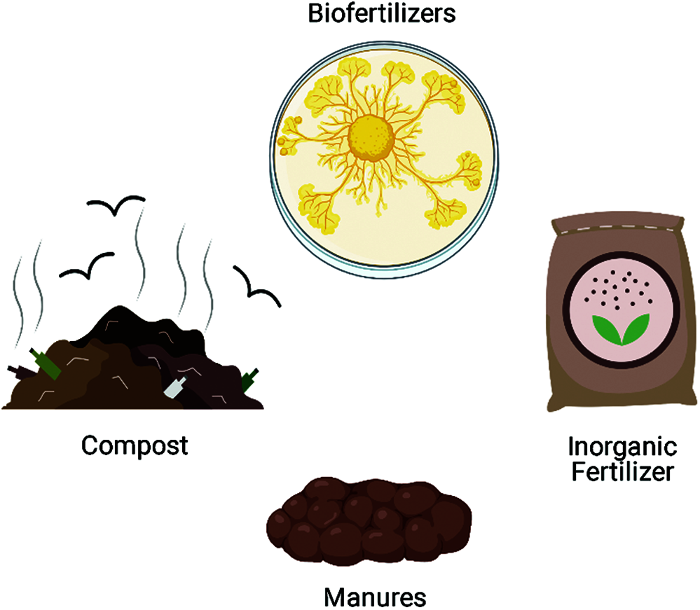 Mycorrhiza and Phosphate Solubilizing Bacteria: Potential Bioagents for ...