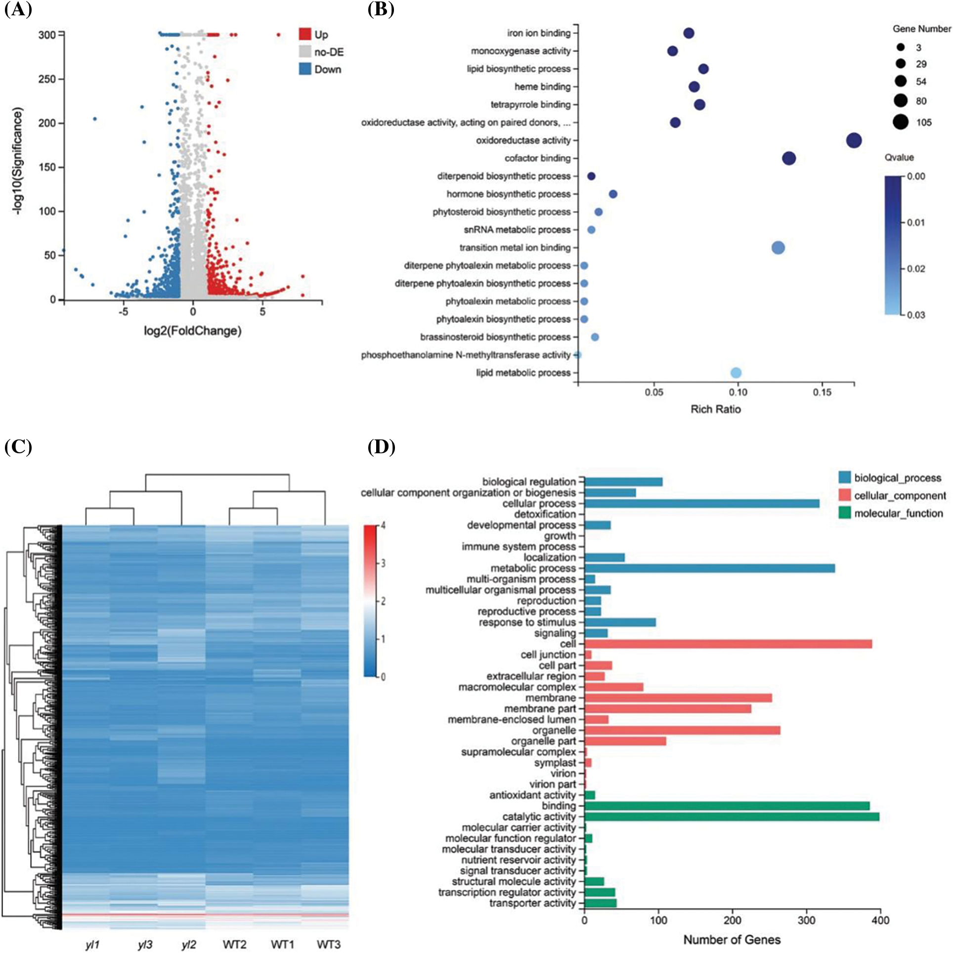 Identification and Characterization of a Novel Yellow Leaf Mutant yl1 ...