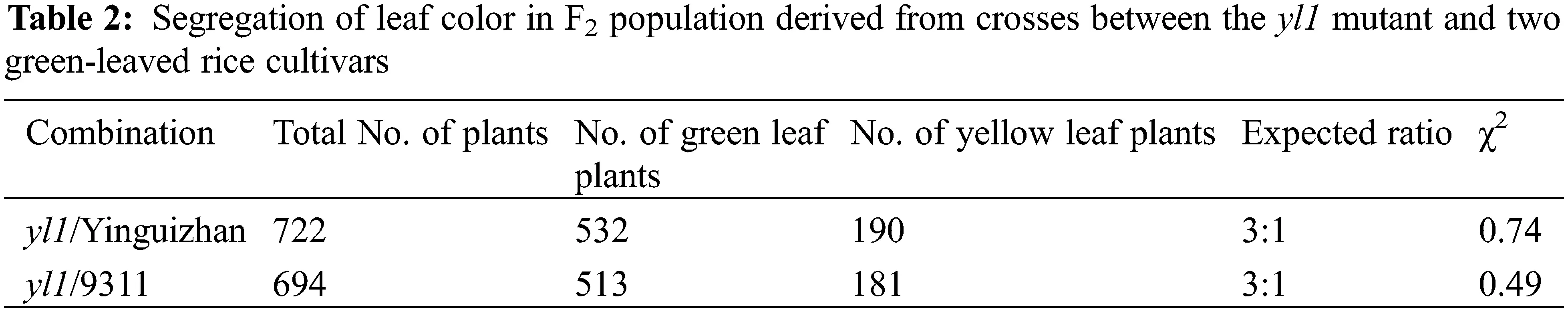 Identification and Characterization of a Novel Yellow Leaf Mutant yl1 ...