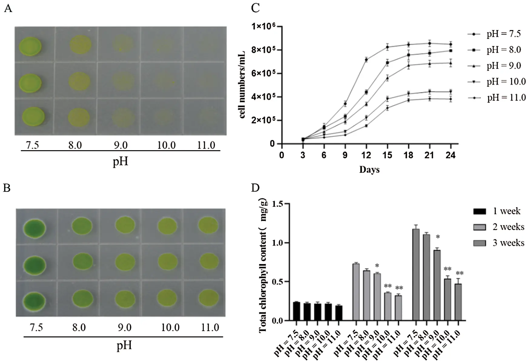 Physiologic and Transcriptomic Insights into the High Alkali Response ...