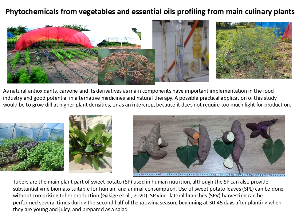 PHYTON | Special Issues: Phytochemical and Medicinal Values of Plants