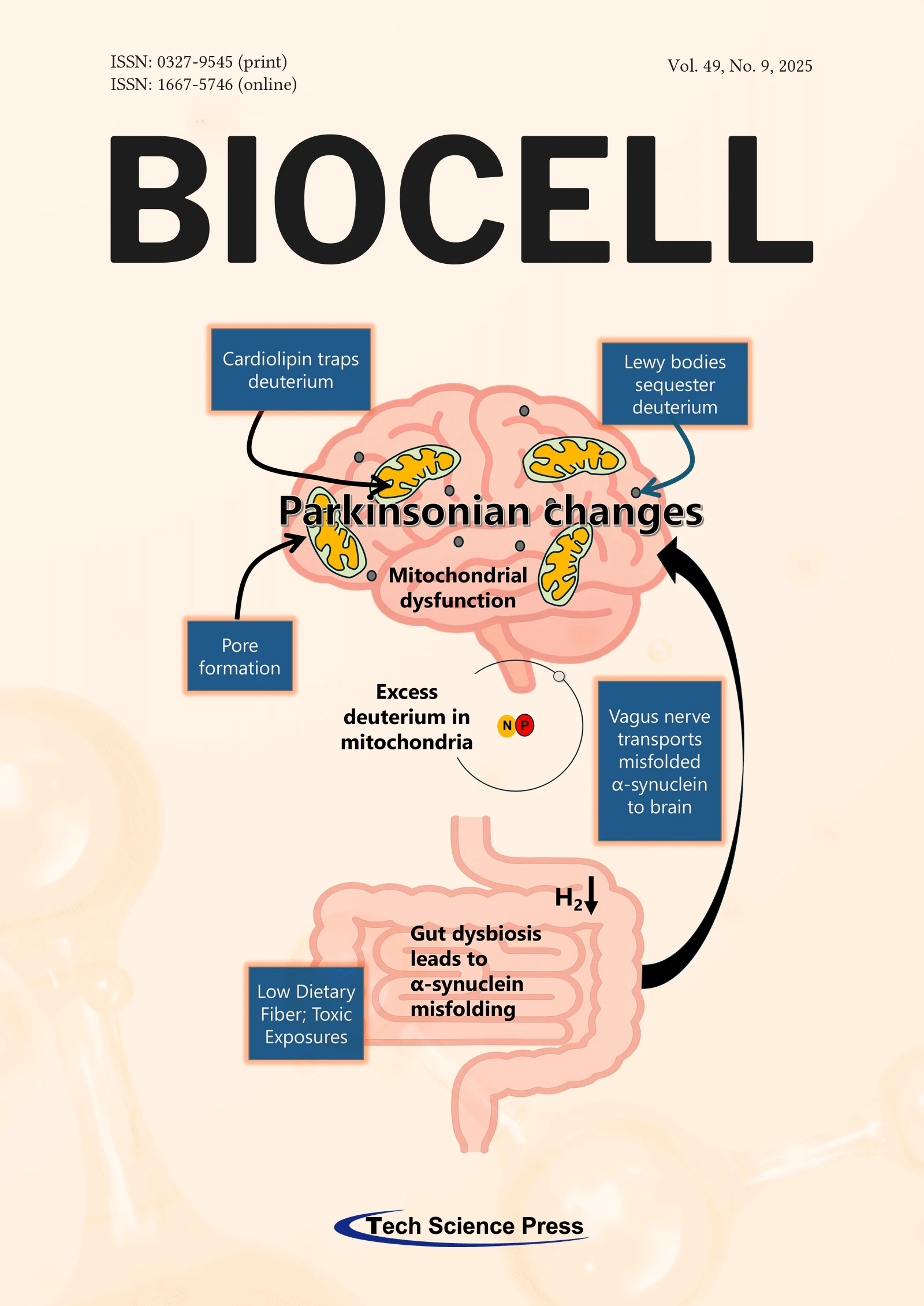BIOCELL-Vol. 49, No. 9, 2025
