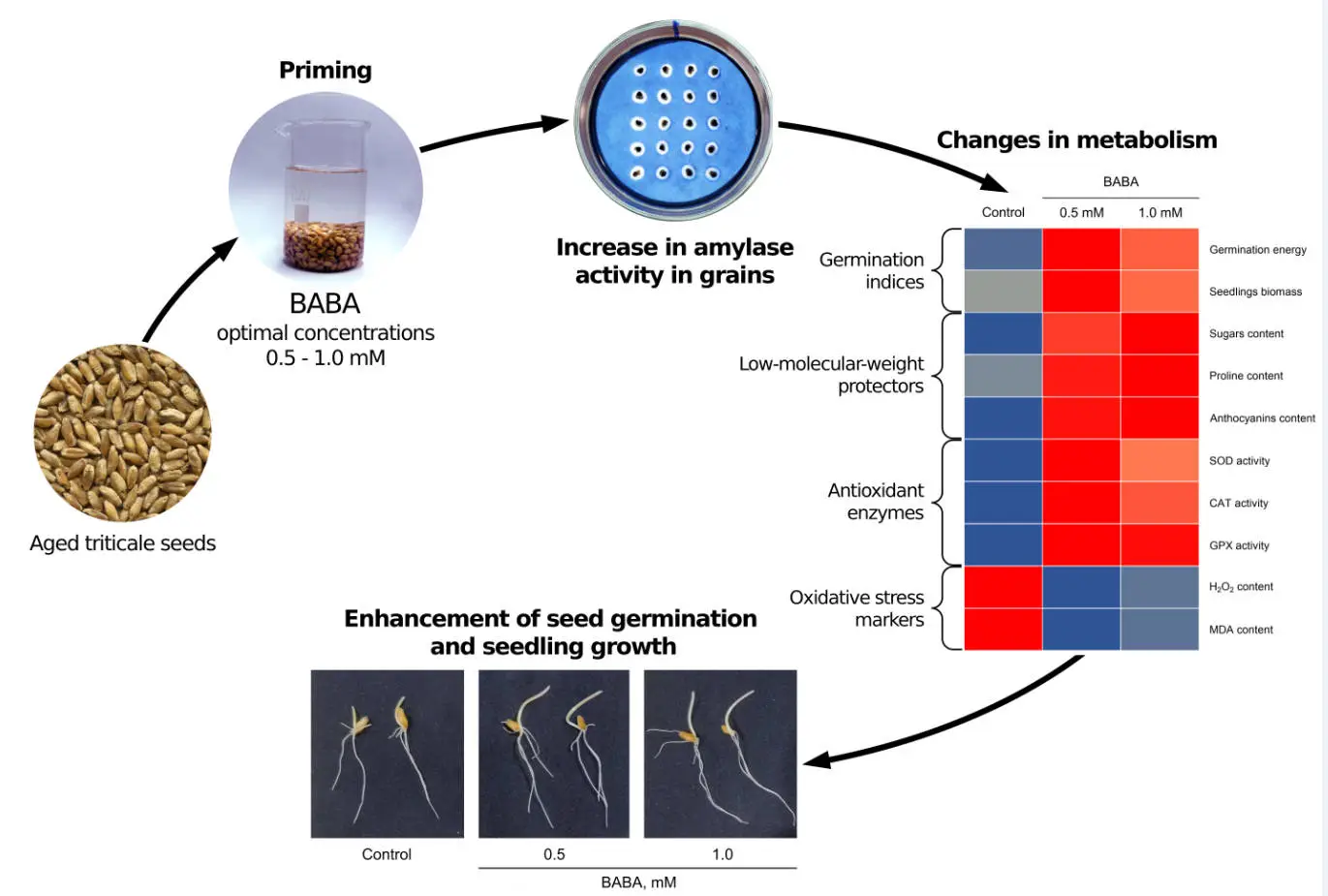 Phyton-International Journal of Experimental Botany | An Open Access ...